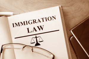 Legal Pathways for Regularization of Stay by Foreign Nationals in ...